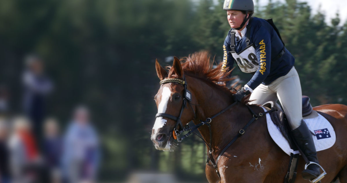 Custom Uniforms Made By You | Animi Equine